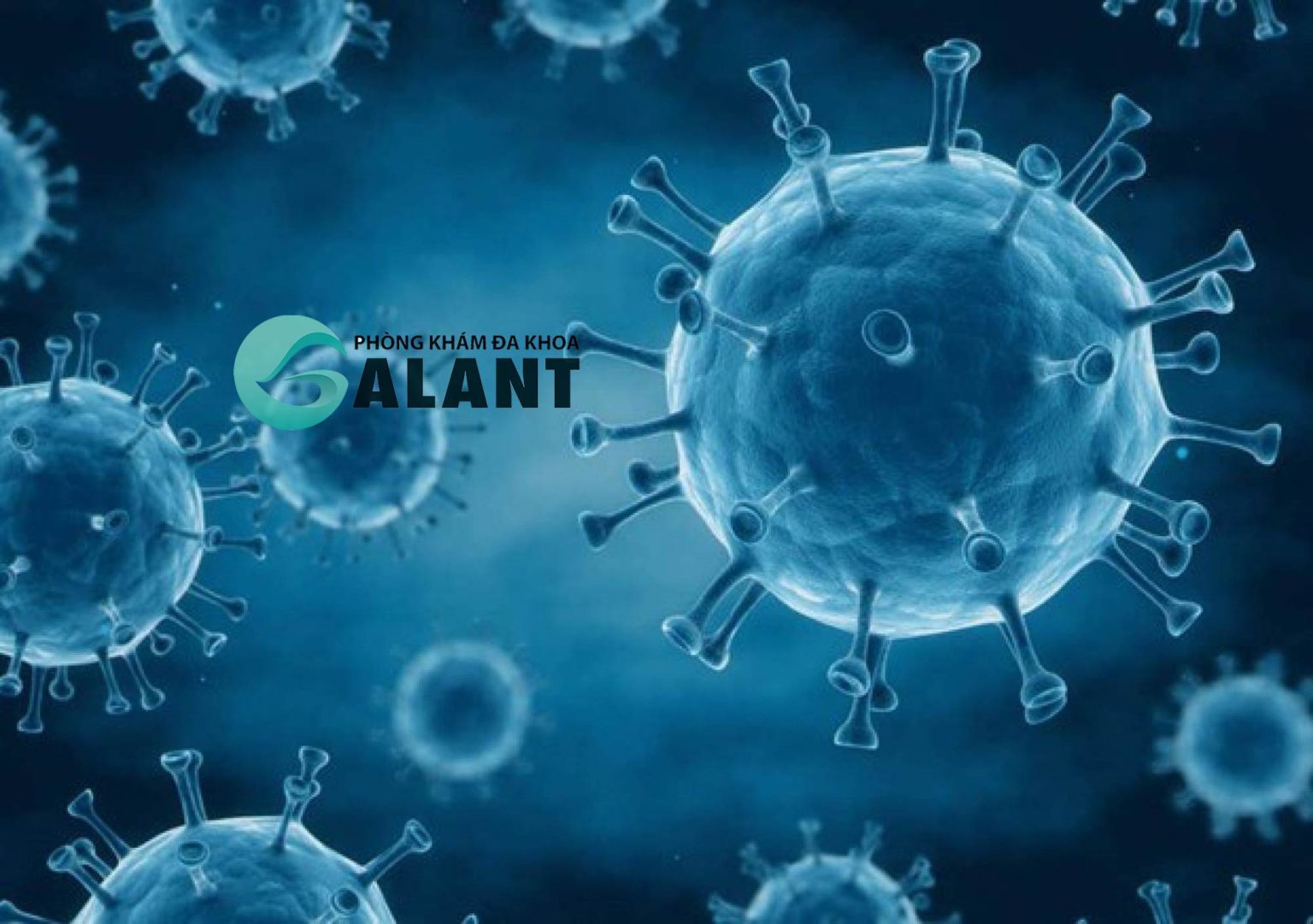 HIV Là Gì? Nguồn Gốc Hiv Từ đâu?