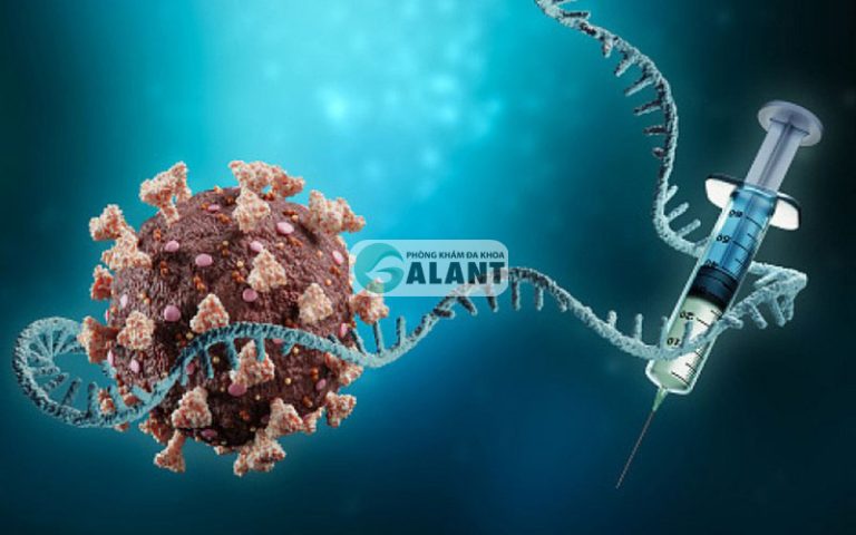 Hội Chứng Suy Giảm Miễn Dịch Mắc Phải ở Con Người