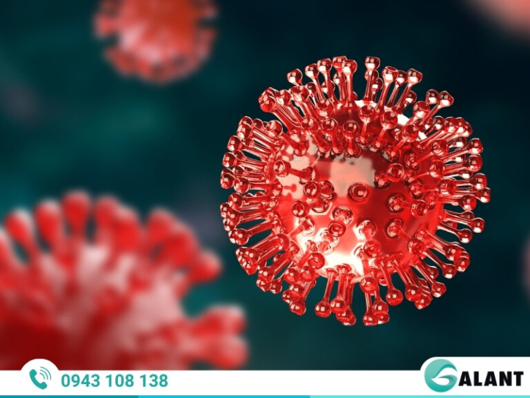 HIV Và AIDS: Sự Khác Biệt Và Những Hiểu Lầm Phổ Biến - Galant